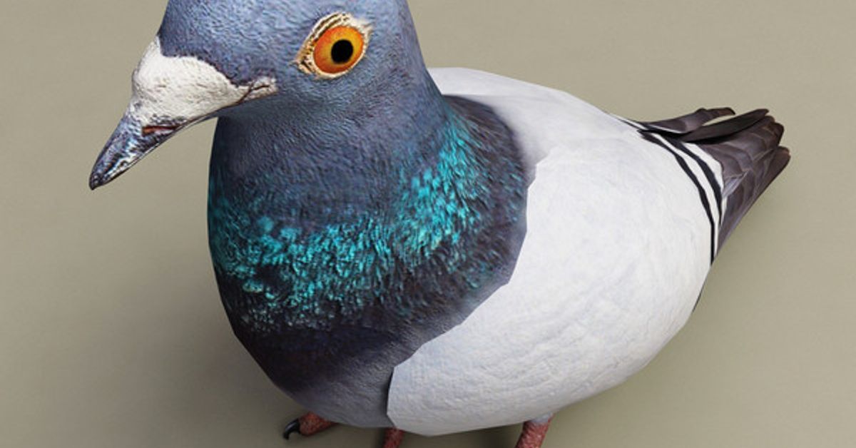 pigeonface's Shows | Mixcloud