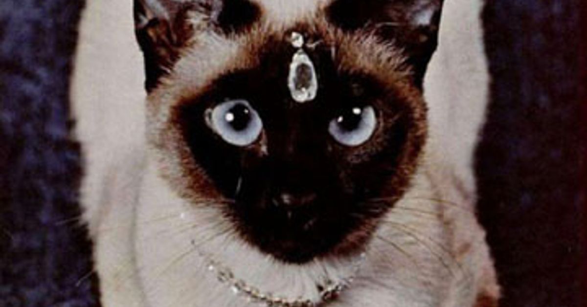 Jeffrey Boozer | Mixcloud