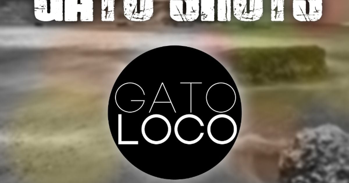 Gato Loco's Shows | Mixcloud