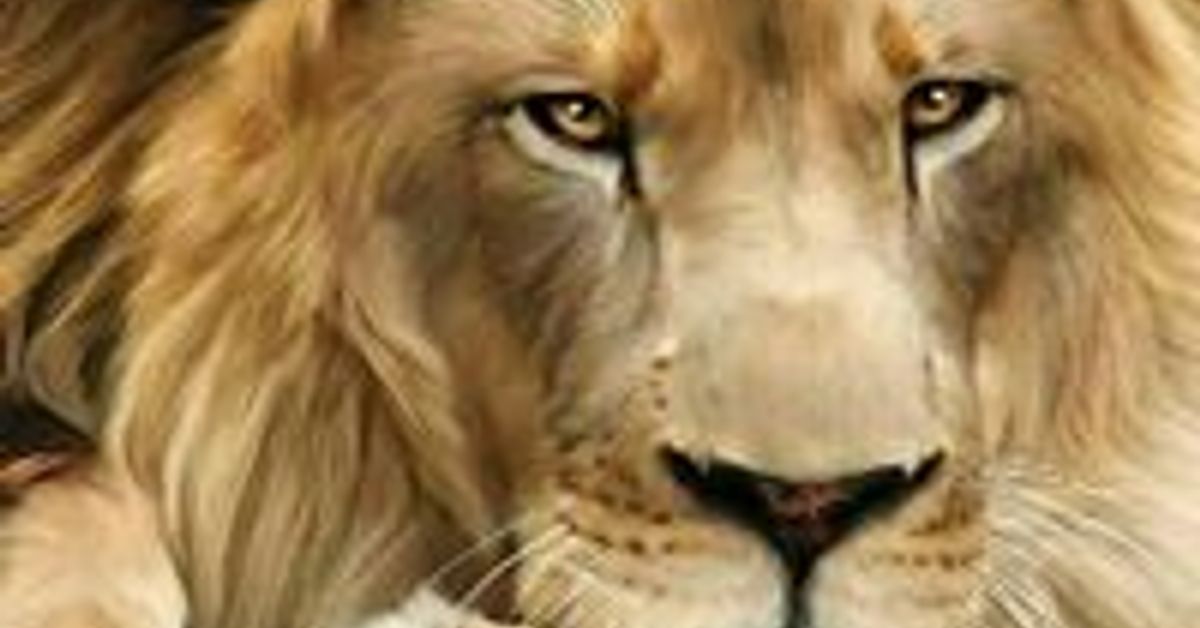 Morne Botha | Mixcloud