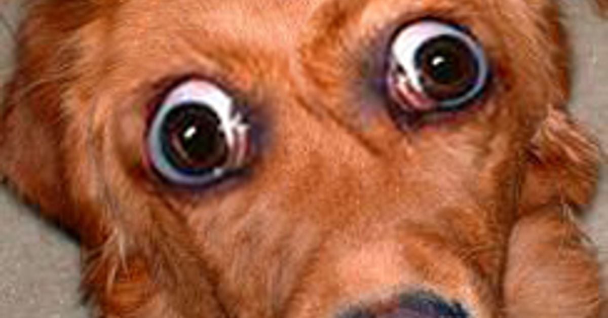 Steve Close | Mixcloud