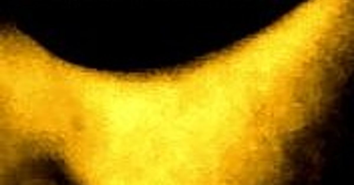 Essential Mixes's Shows | Mixcloud