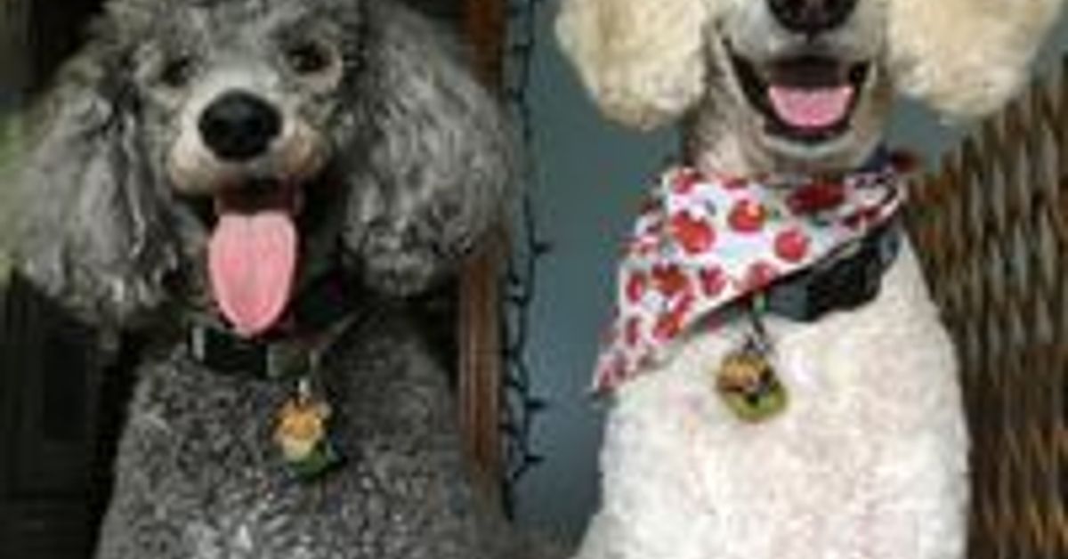 Victoria Lander' History | Mixcloud