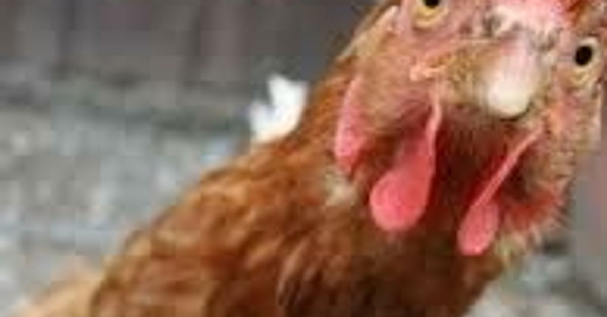 Ivan Liew | Mixcloud