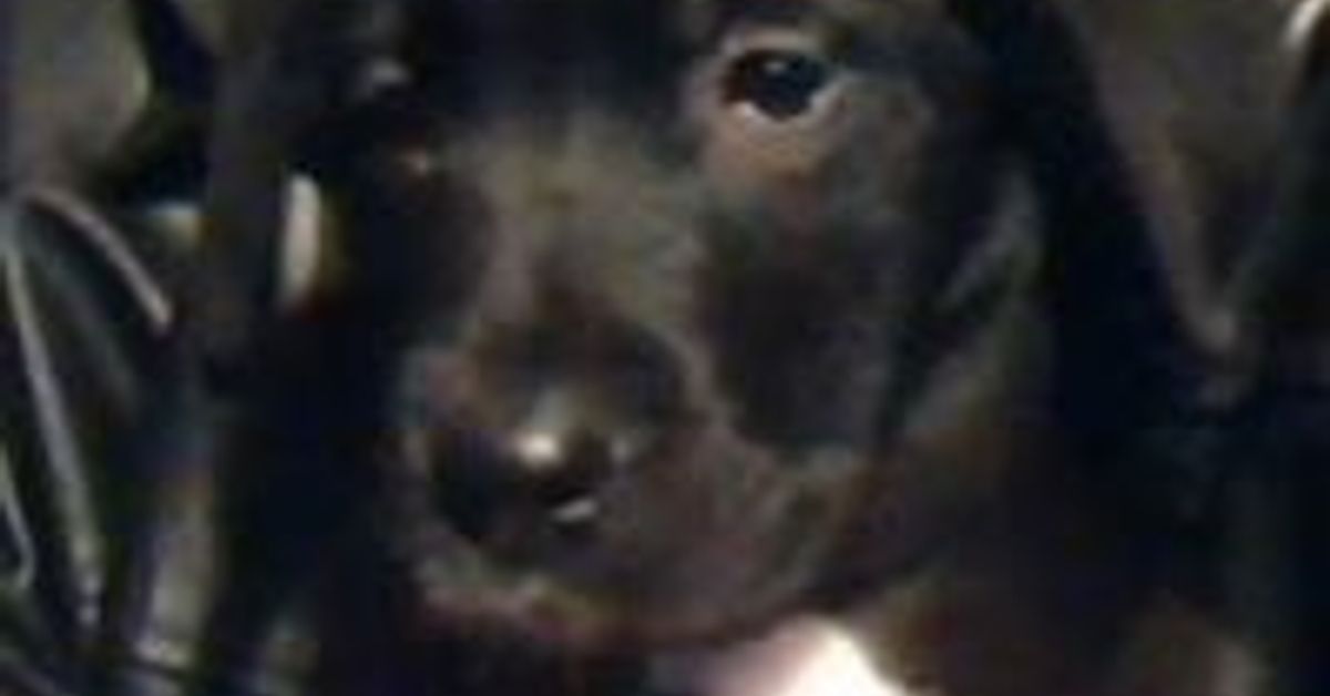 Jean-seb Ruedas | Mixcloud