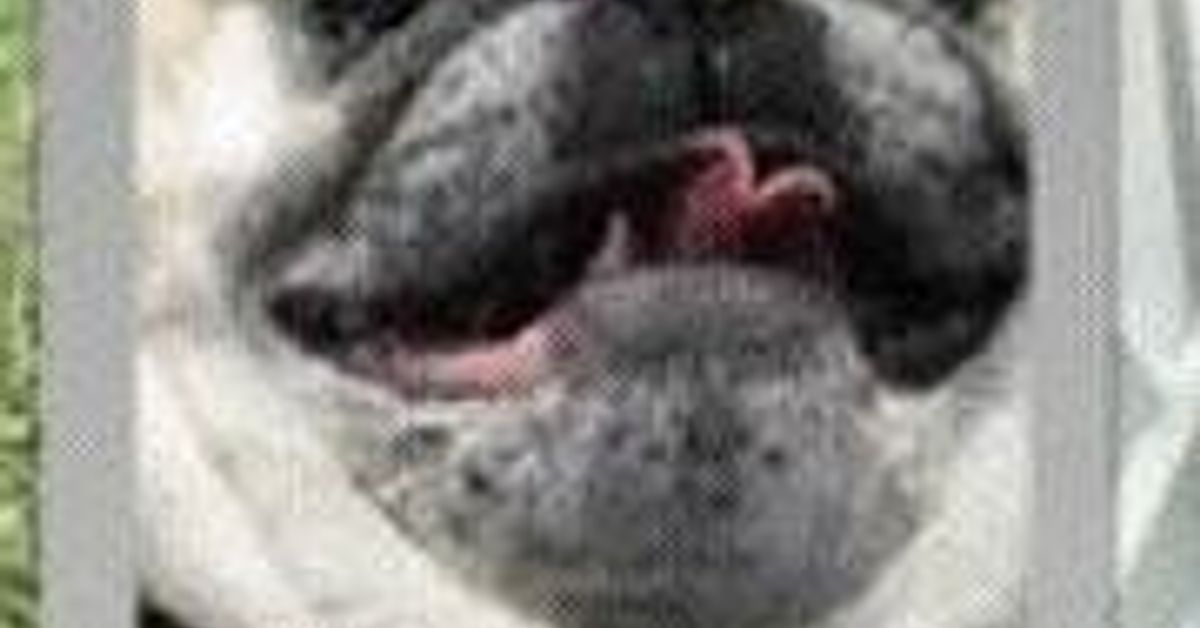 Pamela Jean Veltman | Mixcloud