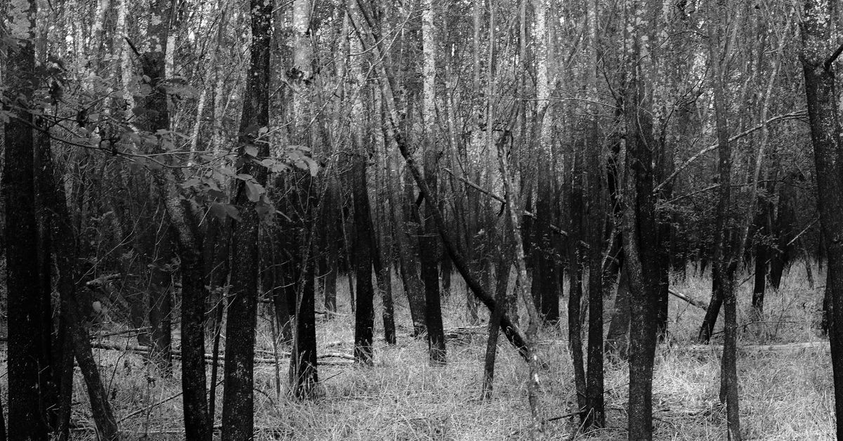 ASHTORETH's Shows | Mixcloud