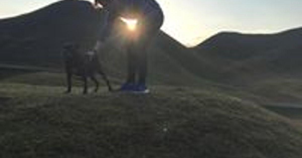 Dominic David Crooks | Mixcloud