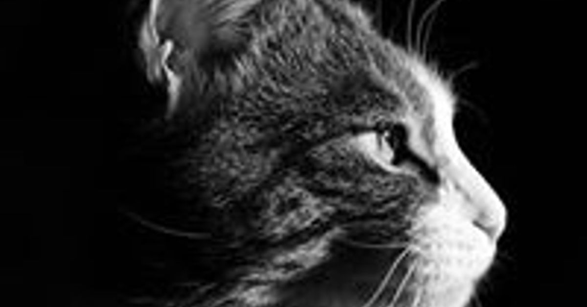 Angel Asto | Mixcloud