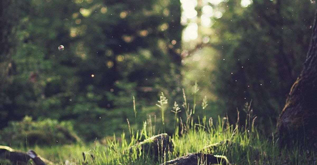 Robin Van de Maat | Mixcloud