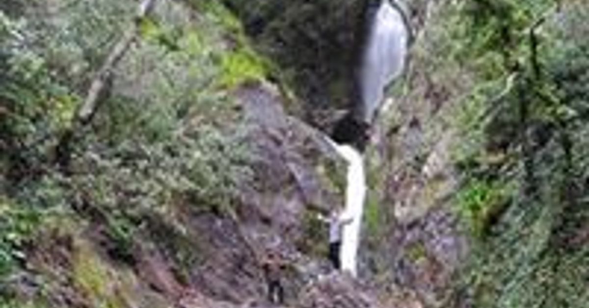 Luke Taiweherua Devlin-Warren's Stream | Mixcloud