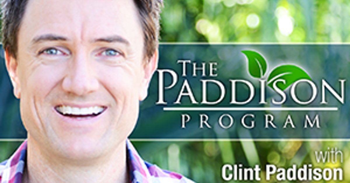 Paddison Program for Optimal H's Favorites | Mixcloud