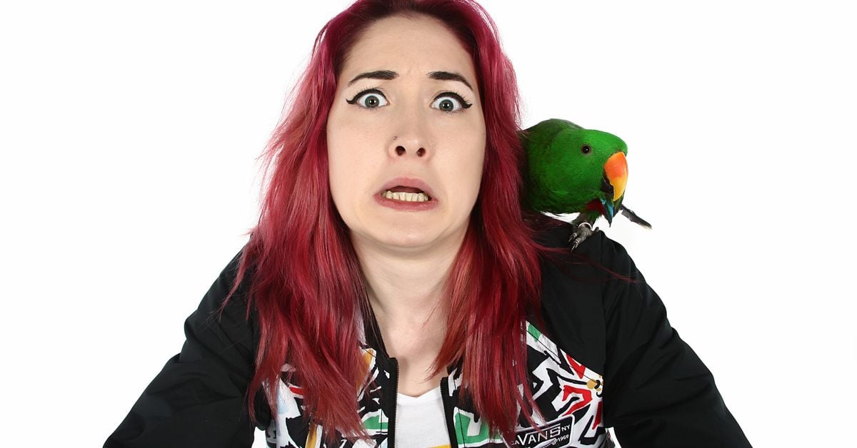 Paris Munro's History | Mixcloud