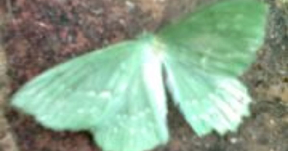 Nicky Baxter | Mixcloud