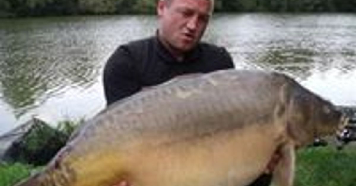 Mark Sables-vass | Mixcloud