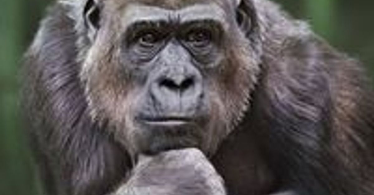 Michael DeGrace's Favorites | Mixcloud