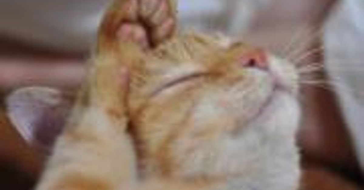 Patrick Antolin's Favorites | Mixcloud