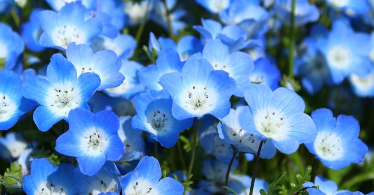 Deejay WX's Shows | Mixcloud