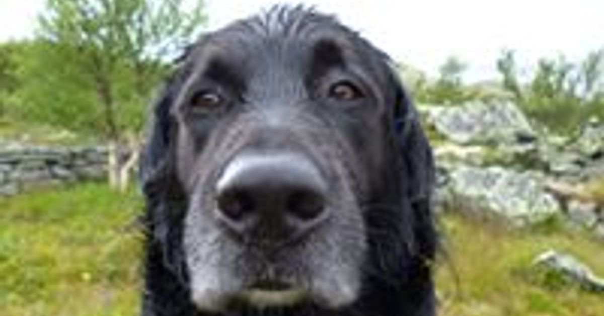 Esther Lie's Reposts | Mixcloud