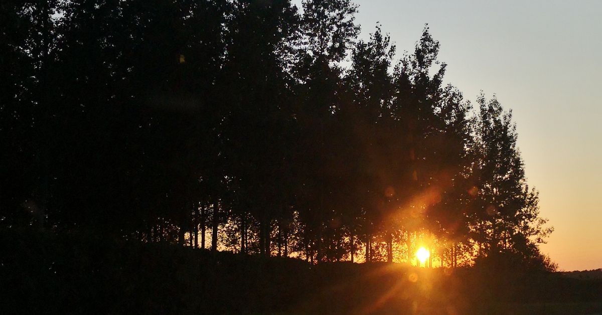 Kristof-caroline Maho-Adriaens | Mixcloud