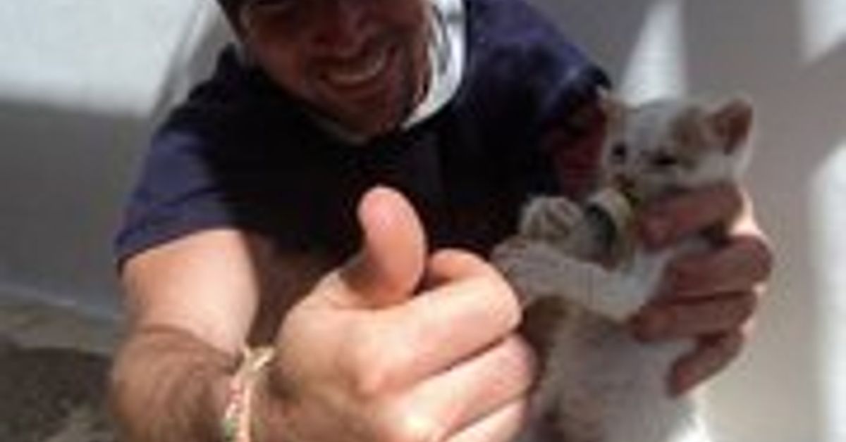 Peter Dagley Sikelianos | Mixcloud