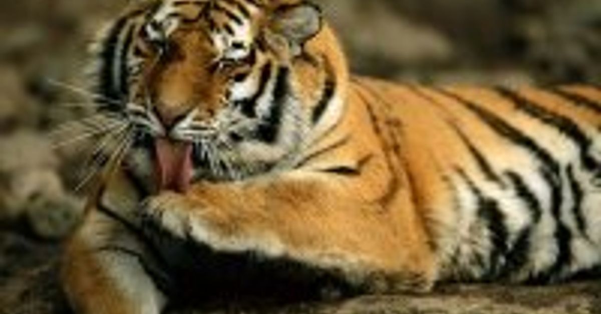 Mat Flash | Mixcloud