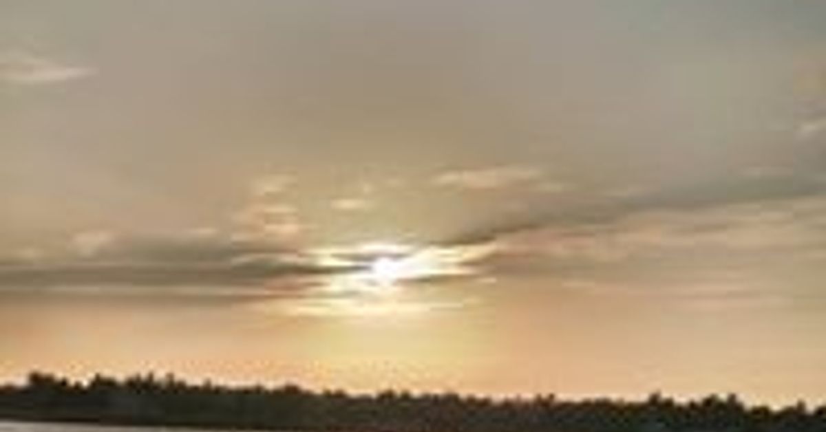 Suzanne Barbee | Mixcloud