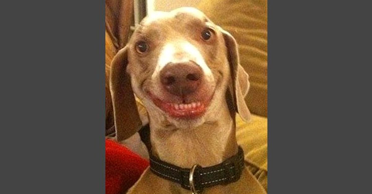 mind_brain_mambo's Favorites | Mixcloud