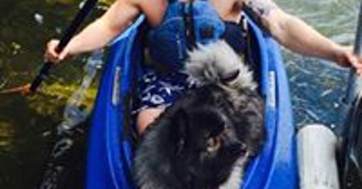 Andrew Bosse' History | Mixcloud