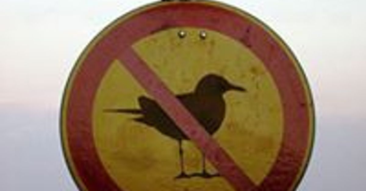 Meli Melo S Favorites Mixcloud