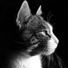 Angel Asto | Mixcloud
