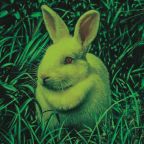 Moichi Kuwahara Pirate Radio | Mixcloud