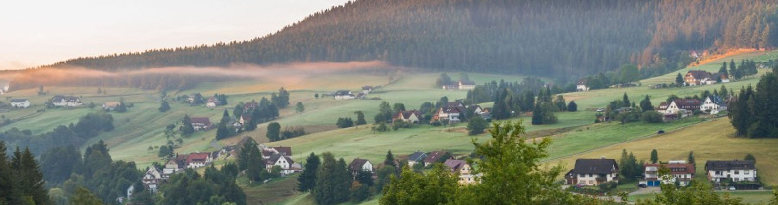 danielkongs | Mixcloud