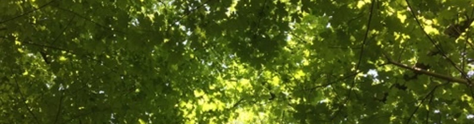 Millie McKee's Stream | Mixcloud