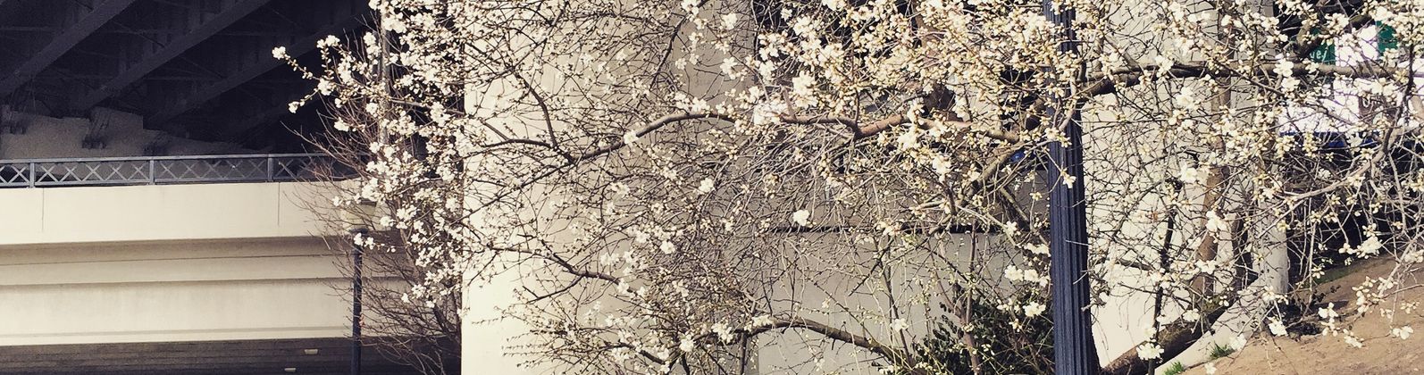 Brian Maier | Mixcloud