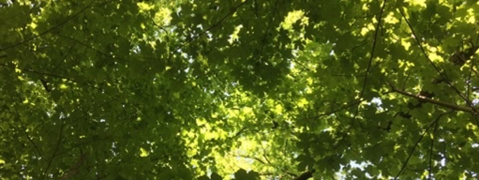 Millie McKee's Stream | Mixcloud