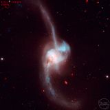 STELLA ERRANS | Mixcloud