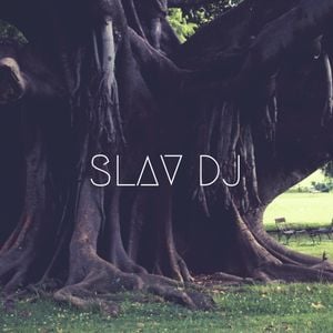 SLAV DJ by SLAV Dj | Mixcloud