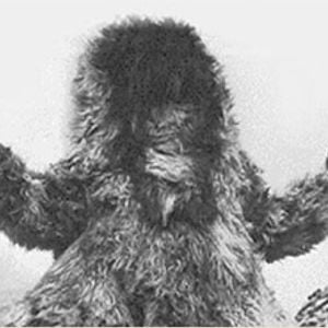 CRYPTOZOOLOGY - On the Track of Unknown Animals with Richard Freeman by ...