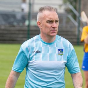 Pat Ryan looks ahead to Limerick's All-Ireland Premier Junior quarter ...