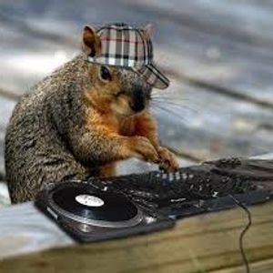 DJ Squirrel in the Mix - No2 by Nick Davies | Mixcloud