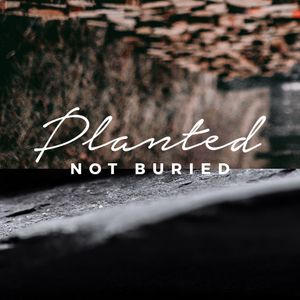 Planted Not Buried by Inspire | Mixcloud