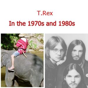 Tyrannosaurus Rex in concert, before they became T. Rex by IN THE 1970S ...