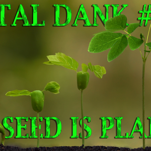 Capital Dank #63: A Seed Is Planted by DJ mTp (Mike the Performer ...
