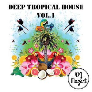 Deep Tropical House - Vol 1 by Dj Mozart | Mixcloud