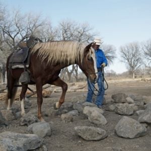 Interview with Mark Bolender of Bolender Horse Park about Obstacle ...