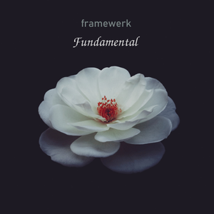 Framewerk - Fundamental 2023-11-14