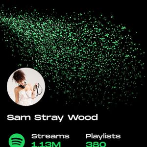Sam Stray Wood - THE GRID #05 2022-01-04
