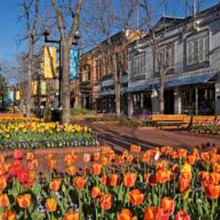 Nicholas Dematteis | Mixcloud