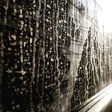 Anna Maria Mickiewicz wspomina zmarłą niedawno poetkę, pisarkę ...